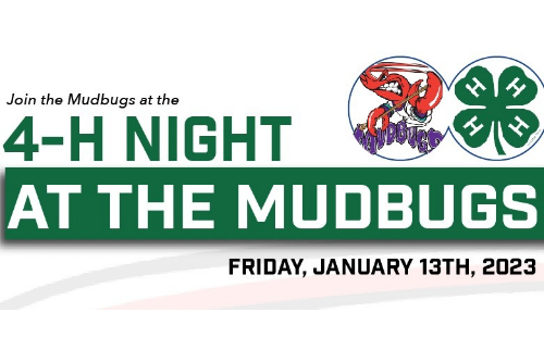 Let’s Go See the Mudbugs | DeSoto Parish Journal