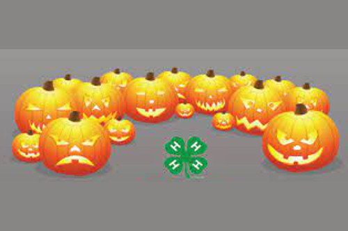 4-H Pumpkin decorating contest | DeSoto Parish Journal