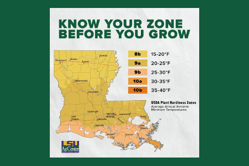 Know your zone before you grow | DeSoto Parish Journal