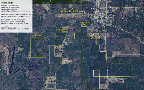REYNOLDS REAL ESTATE: Caddo Parish Land Offering | DeSoto Parish Journal